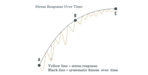 Adaptation Principles - Building the Elite Programming