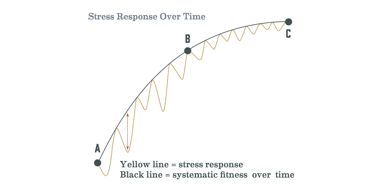 Adaptation Principles - Building the Elite Programming