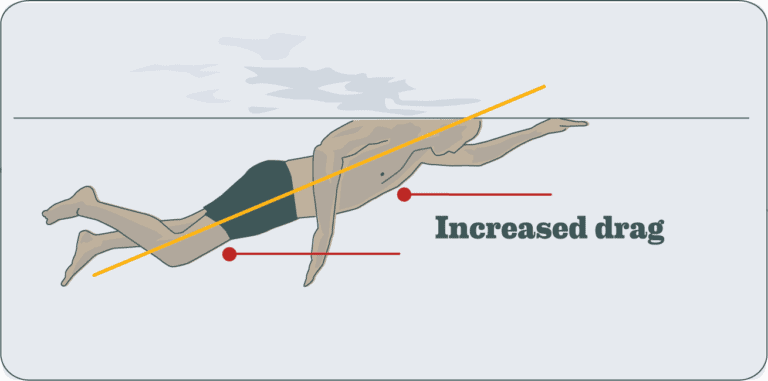 Swimming 101 - Building the Elite